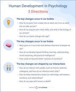 Human Development Essay: Topics, Outline, Free Samples, & How-to Guide ...